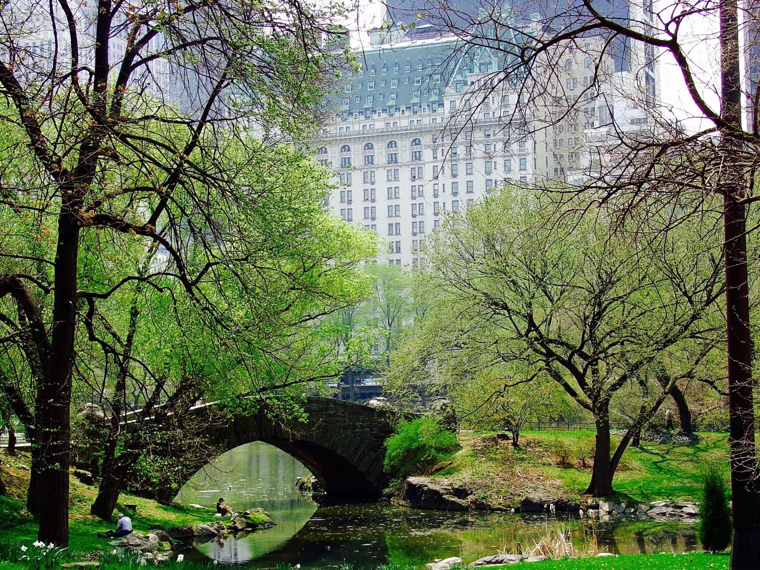 New York Story | RA Williams